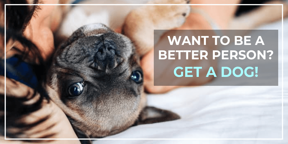 Want to Be a Better Person? Get a Dog! – SPARK PAWS