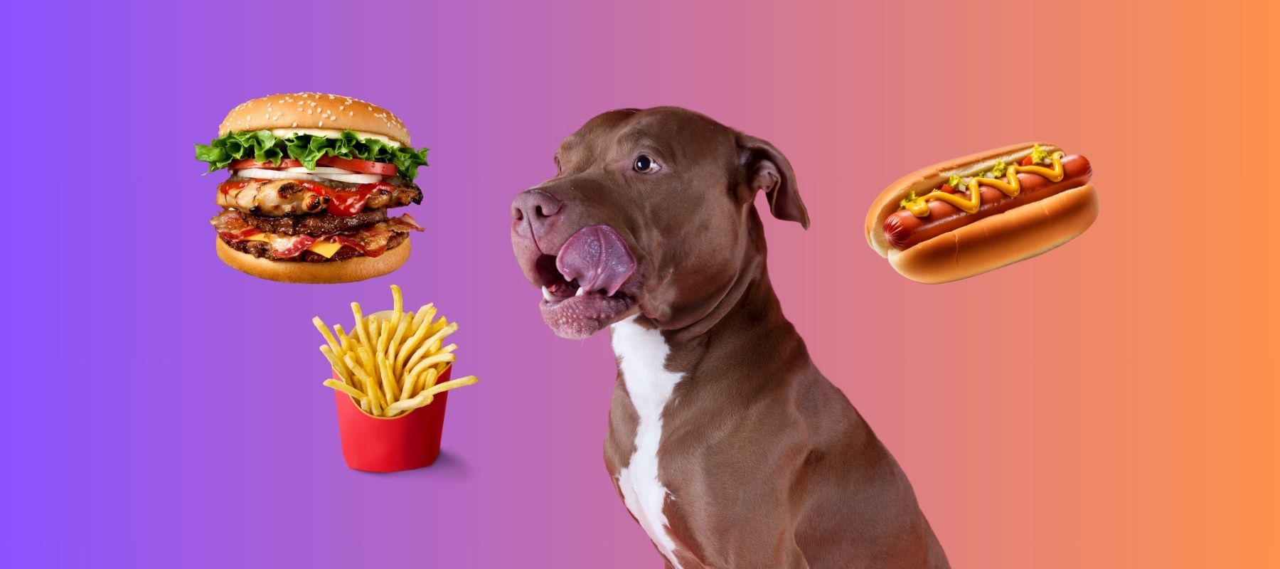 Addressing Overweight Pitbulls: A Guide to Healthy Canine Living ...