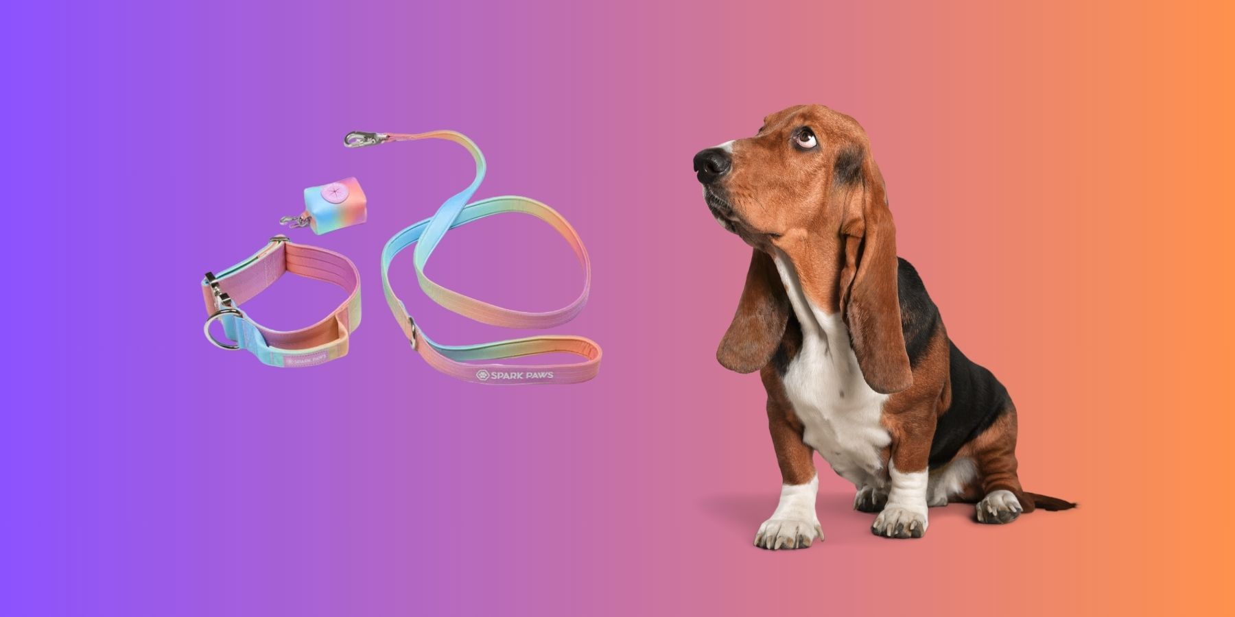 You’re getting a new pup! Do you have everything you need? – SPARK PAWS