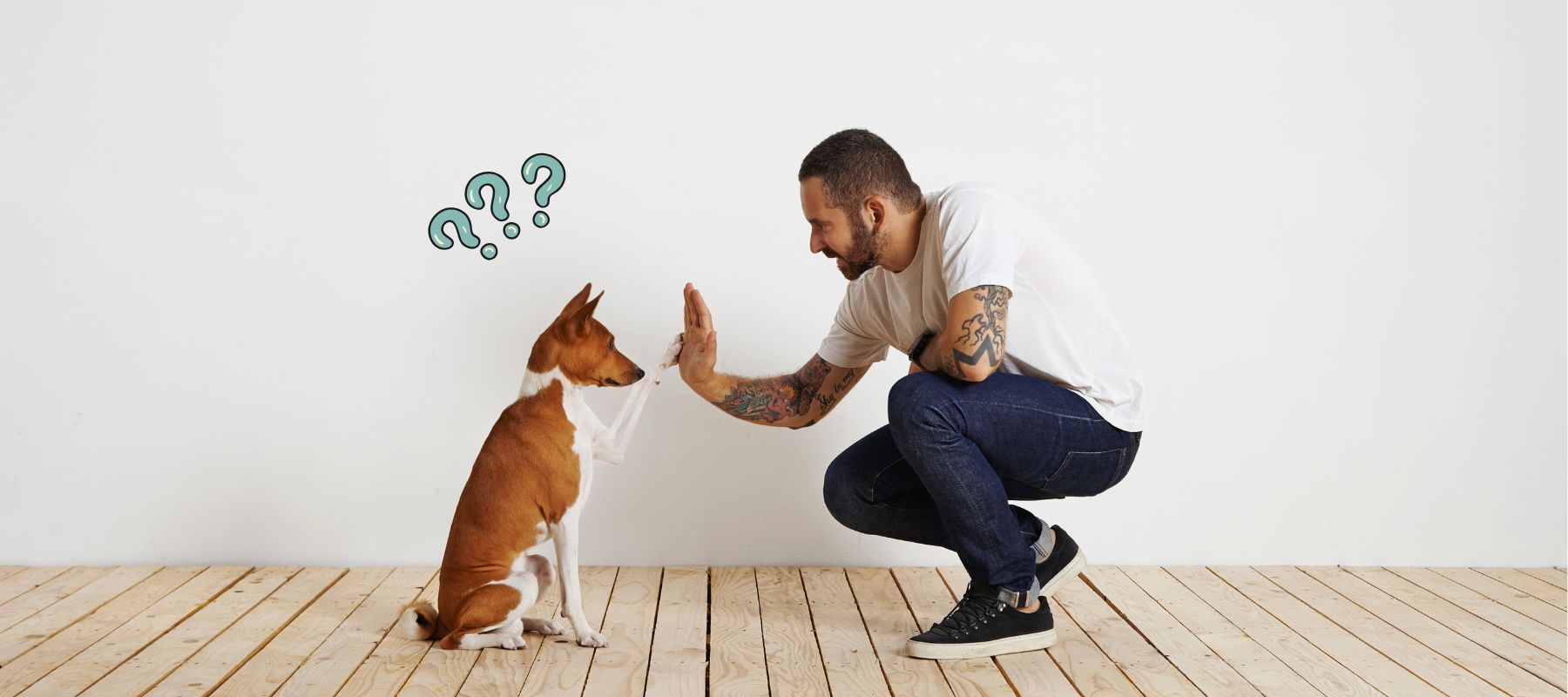 Easiest Dogs to Train – Top Breeds for Easy Training – SPARK PAWS