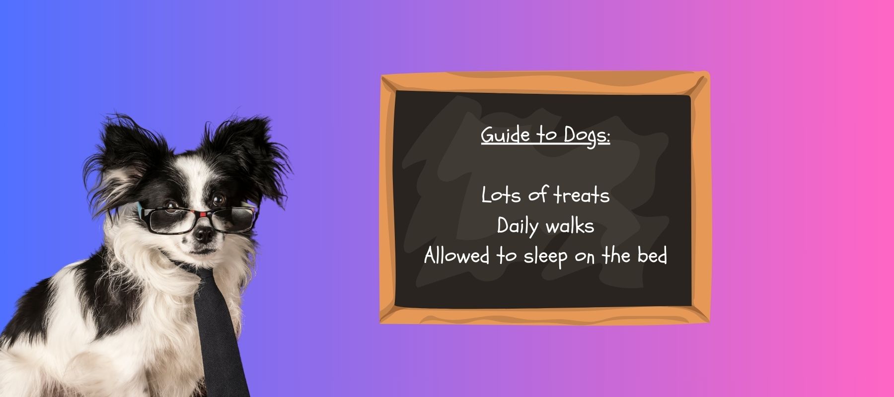 How to Be a Good Dog Owner: Essential Tips for Happy Pets – SPARK PAWS