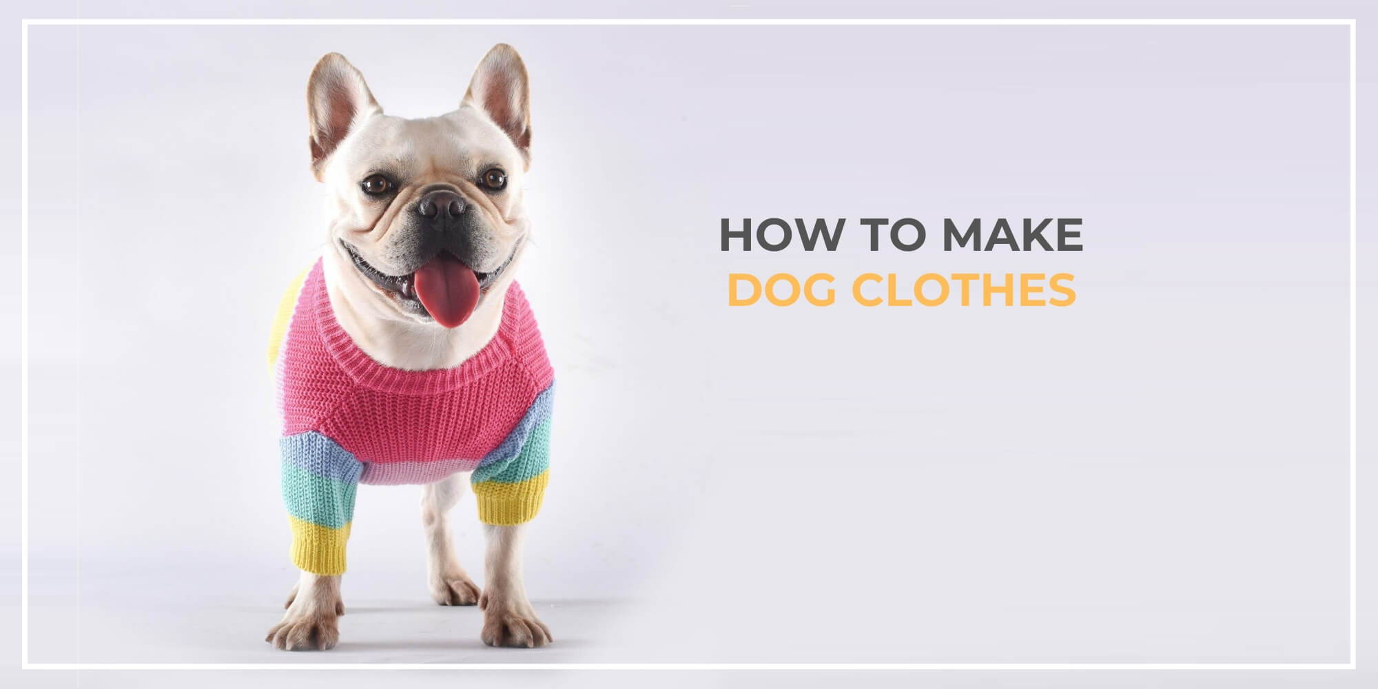 How to Make Dog Clothes With Things You Have At Home – SPARK PAWS
