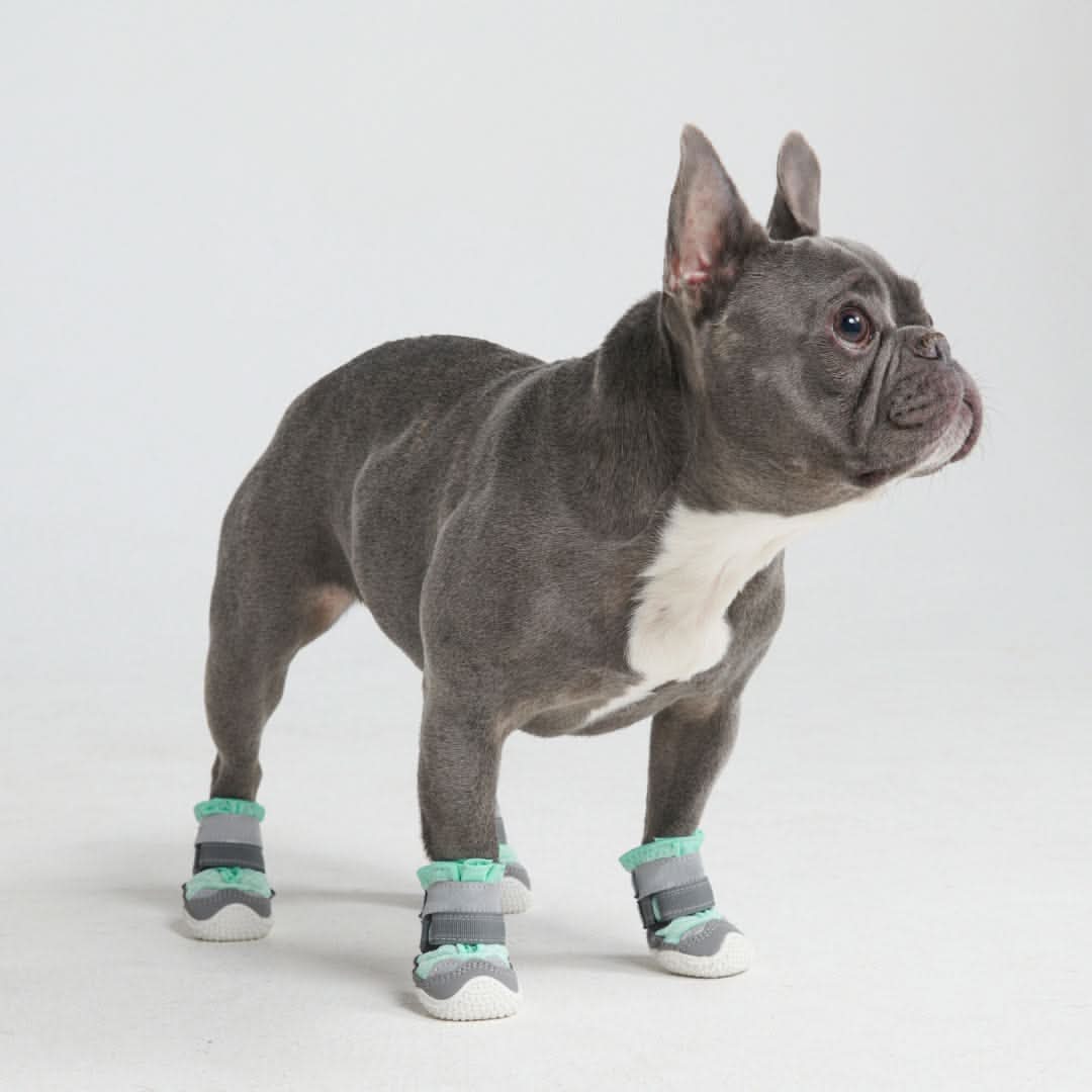 Hot Pavement Pawtector Dog Shoes - Teal – SPARK PAWS