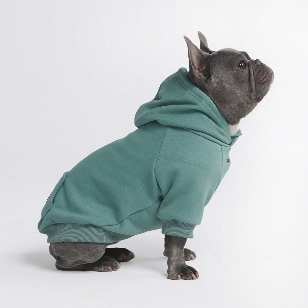 Essential Dog Hoodie - Teal – SPARK PAWS