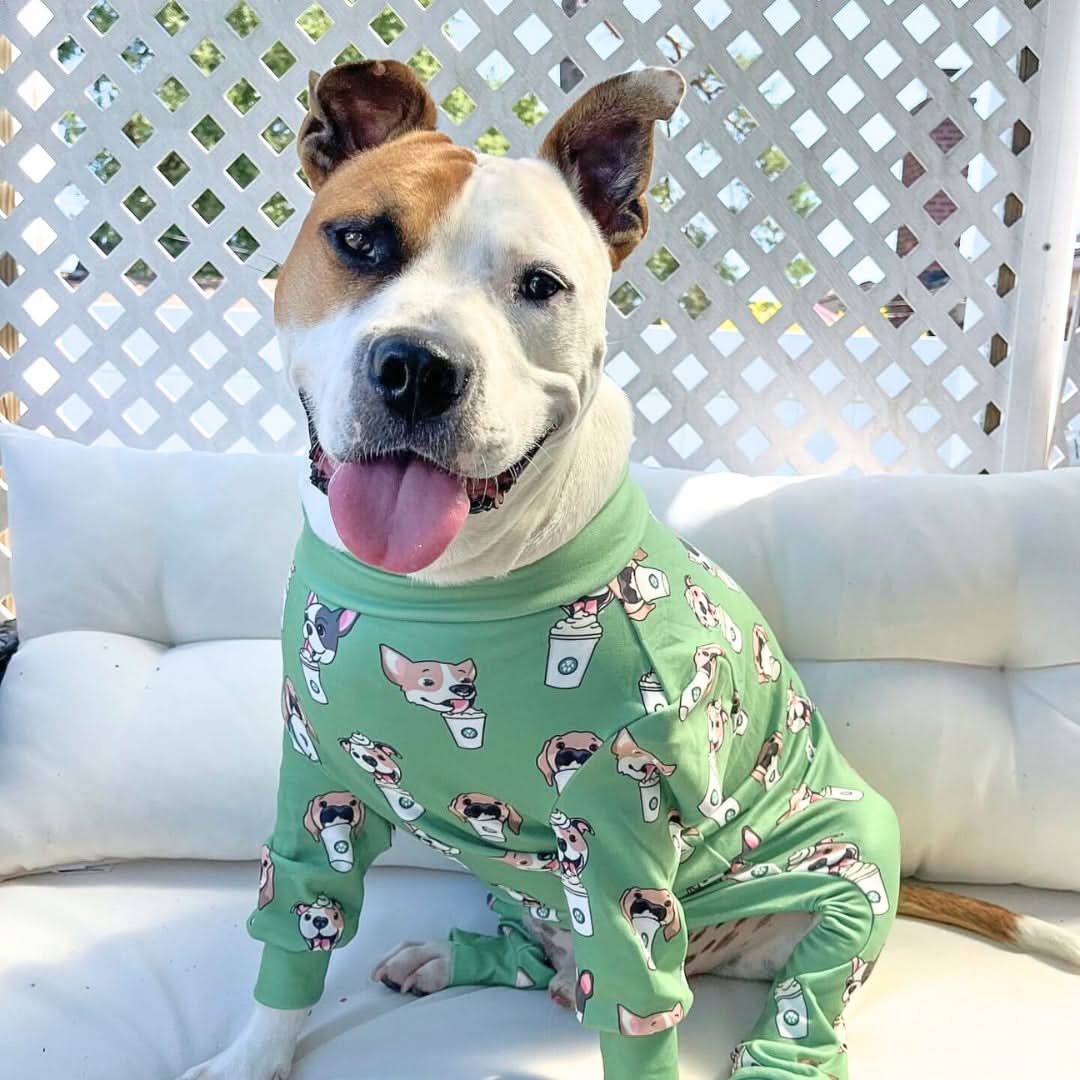 Dog Pajama Prints – SPARK PAWS