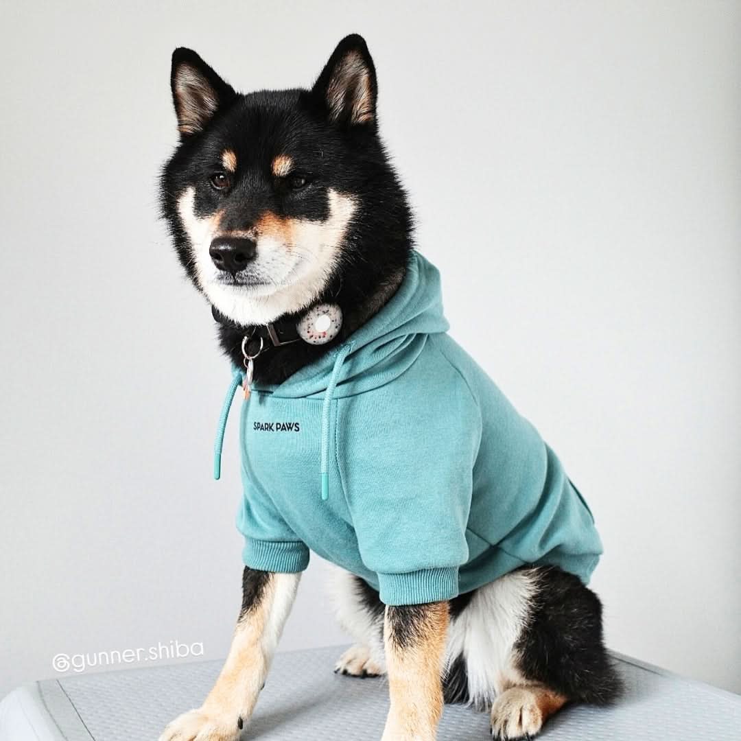 Essential Dog Hoodies – SPARK PAWS