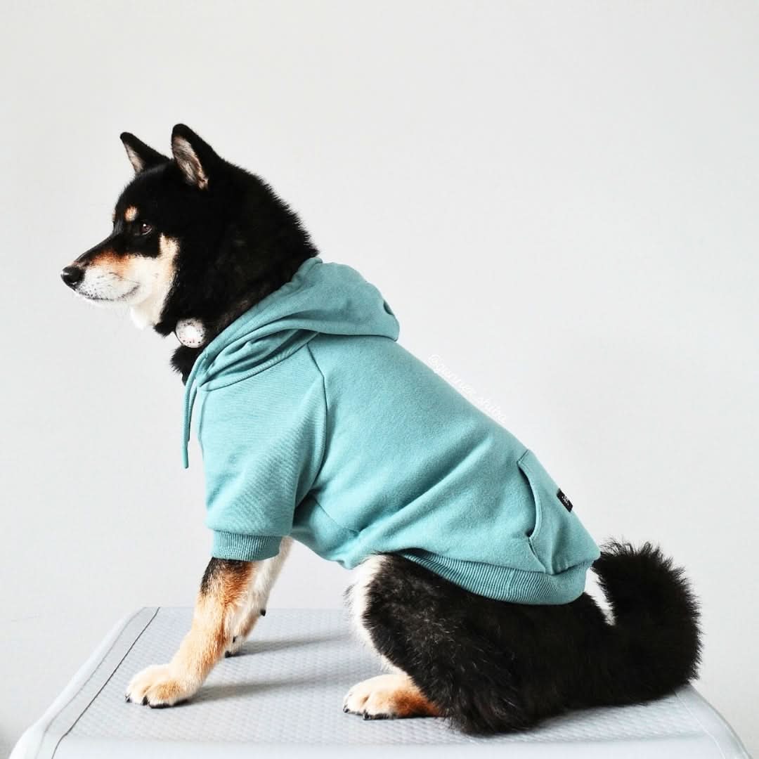 Essential Dog Hoodies – SPARK PAWS