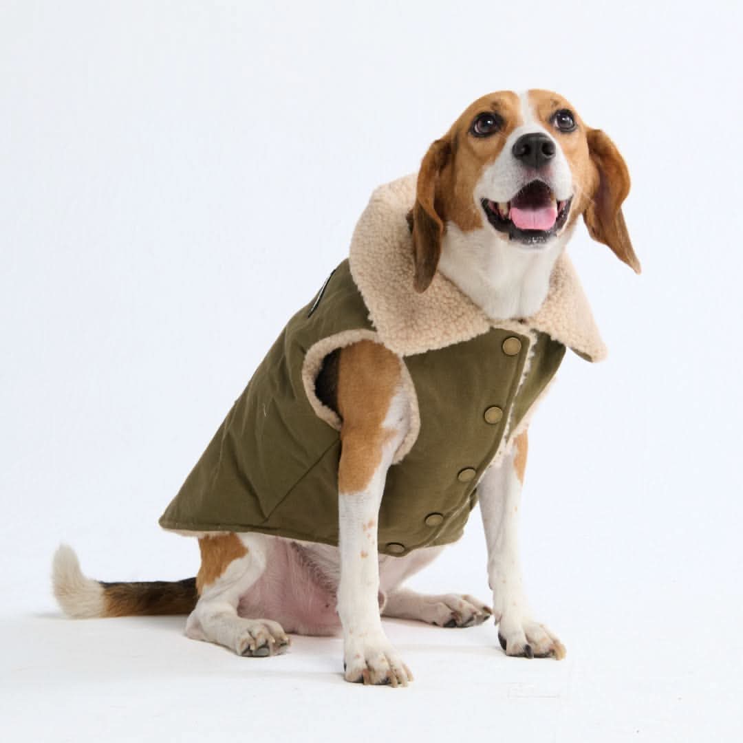 All-Terrain Duck Insulated Dog Jacket Coat – SPARK PAWS