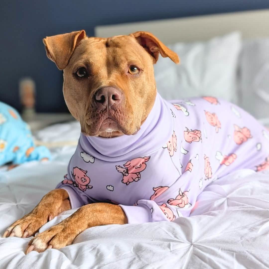Dog Pajama Prints – SPARK PAWS