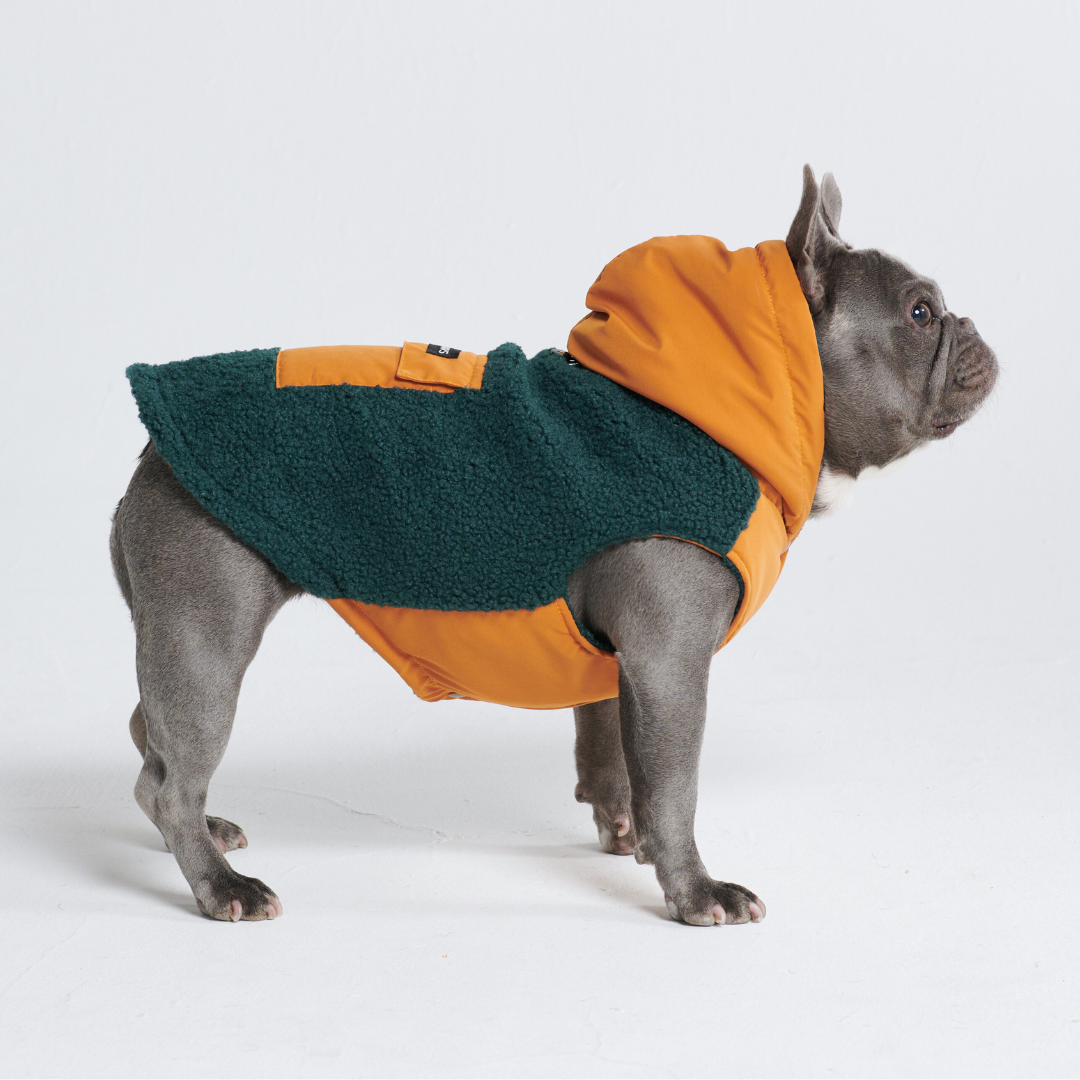 Reversible Dog Jacket - Green and Orange – SPARK PAWS
