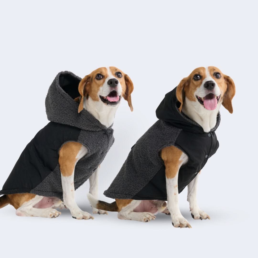 Reversible Dog Jacket - Grey and Black – SPARK PAWS