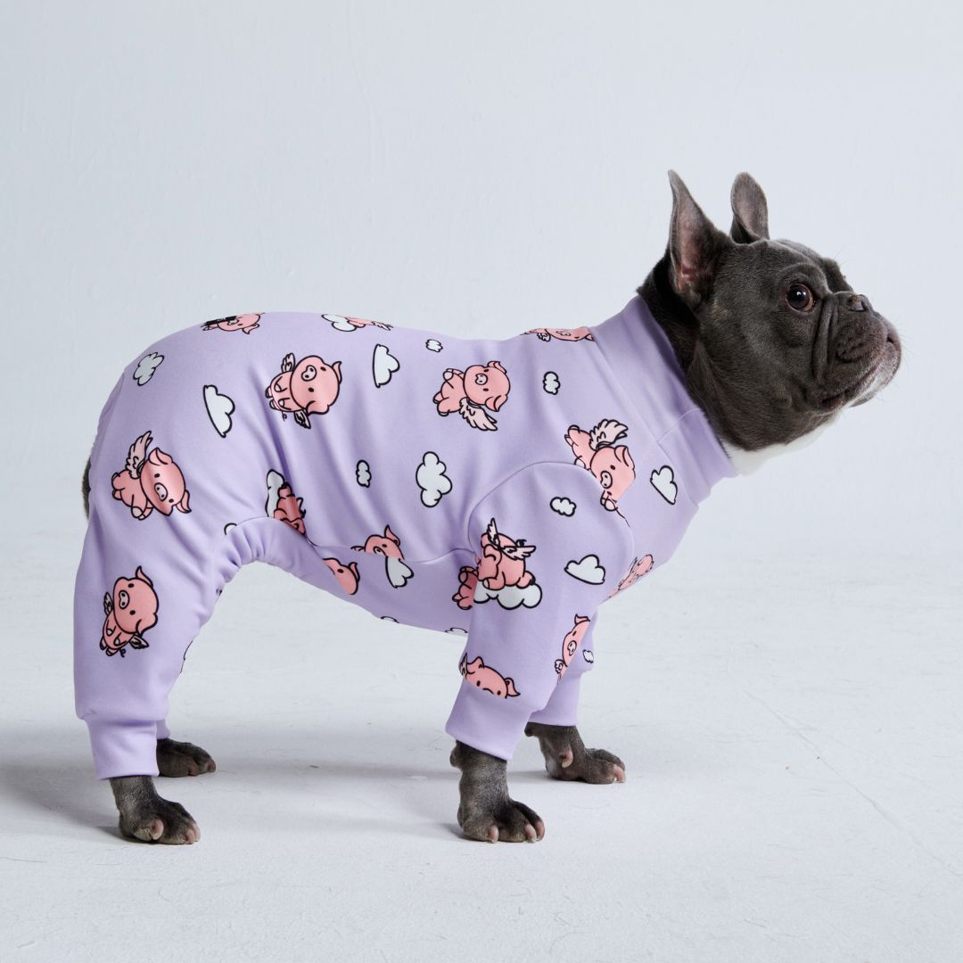 Dog Pajama - When Pigs Fly - Purple – SPARK PAWS