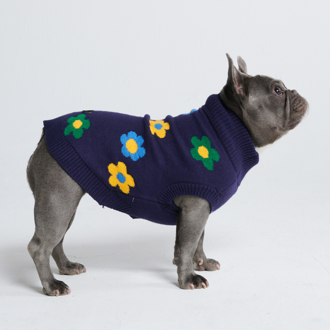 Flower Knit Dog Sweater - Blue Green Yellow – SPARK PAWS