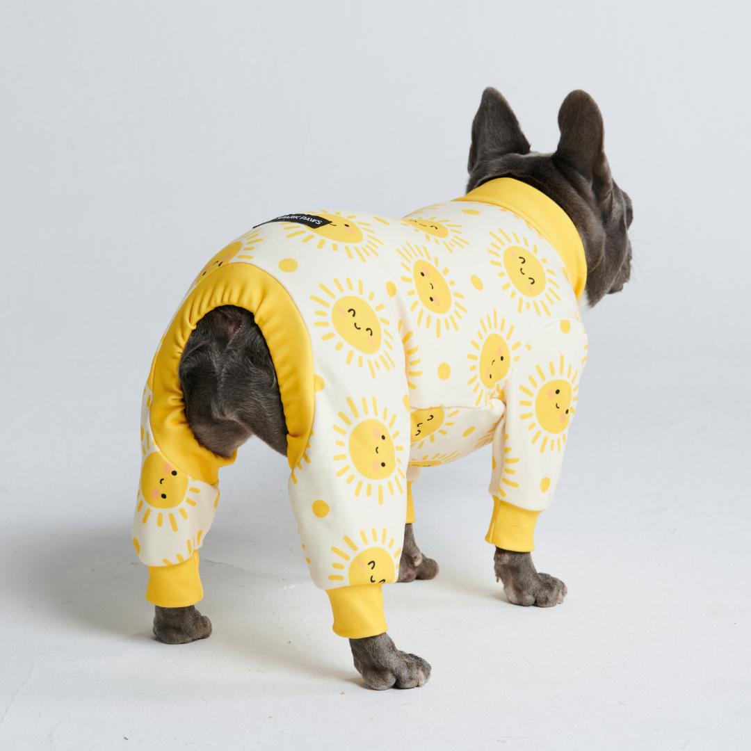 Dog Pajama - Sunshine – SPARK PAWS