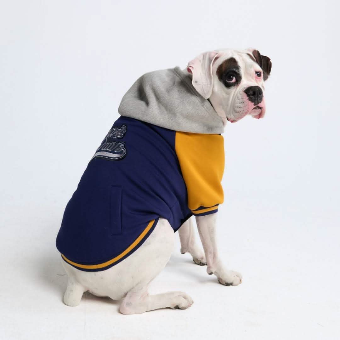 Dog Varsity Jackets – SPARK PAWS