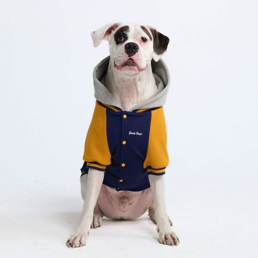 Dog Varsity Jackets – SPARK PAWS