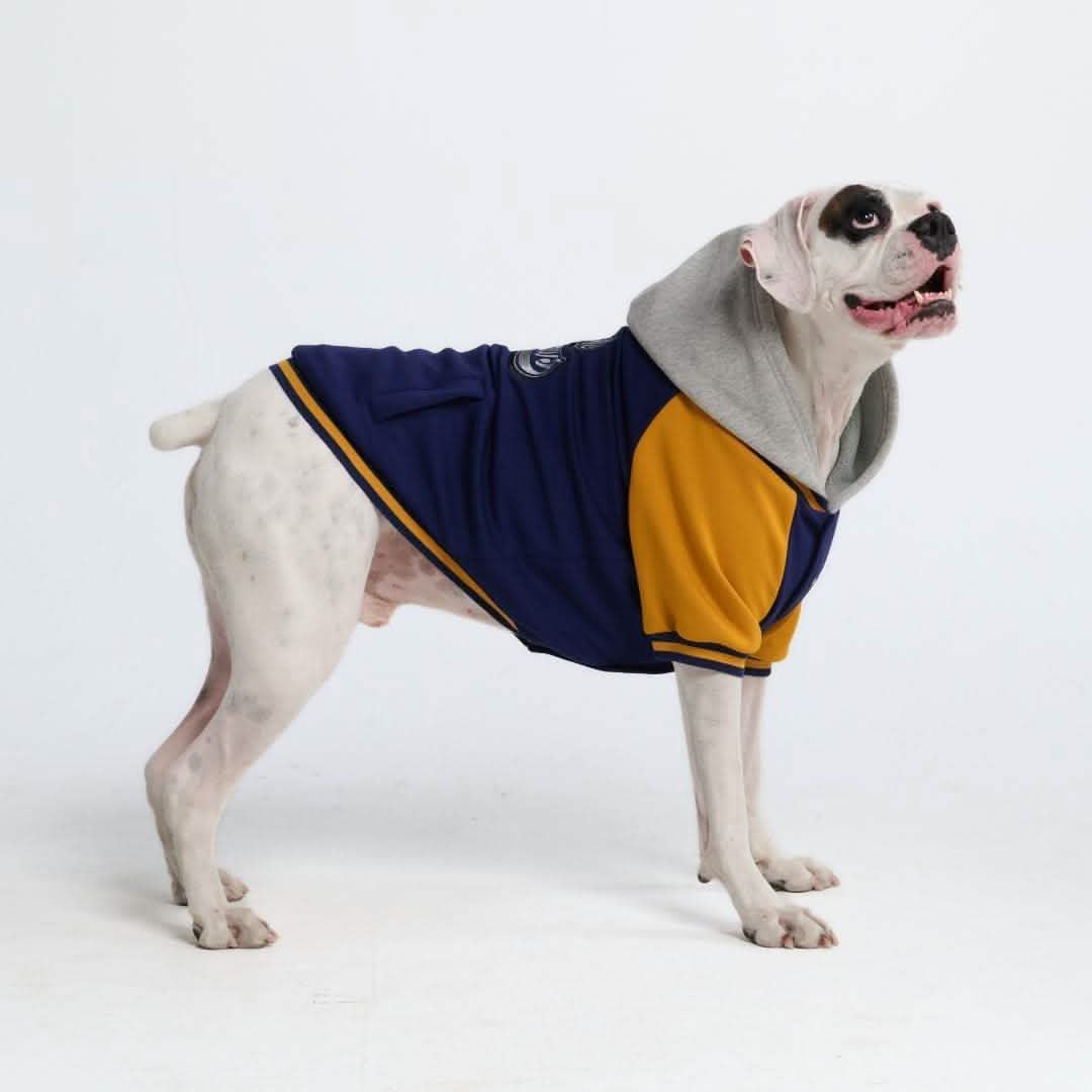 Dog Varsity Jackets – SPARK PAWS