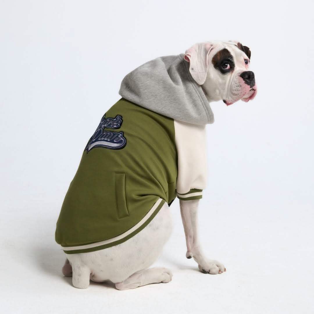 Dog Varsity Jacket - Olive – SPARK PAWS