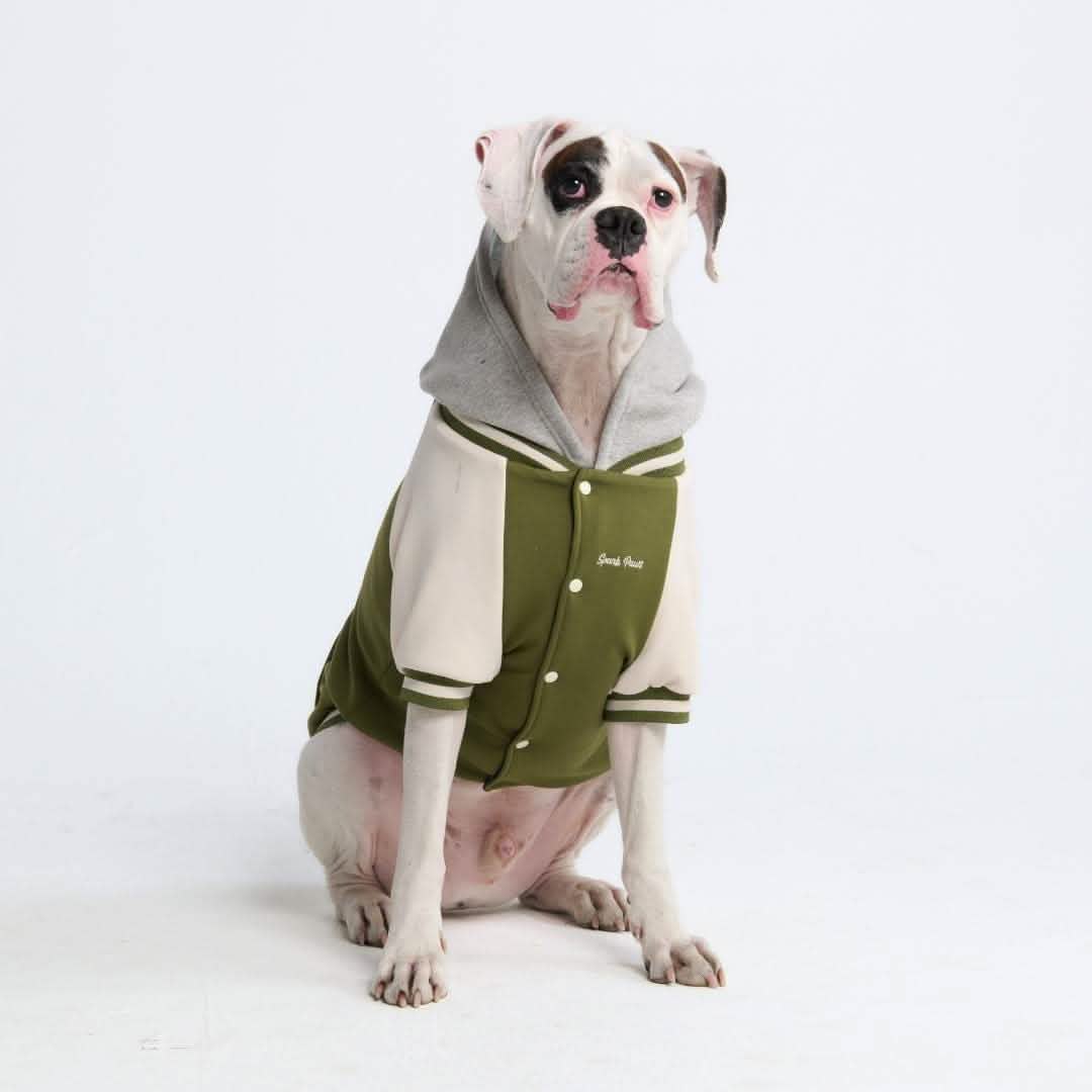 Dog Varsity Jackets – SPARK PAWS