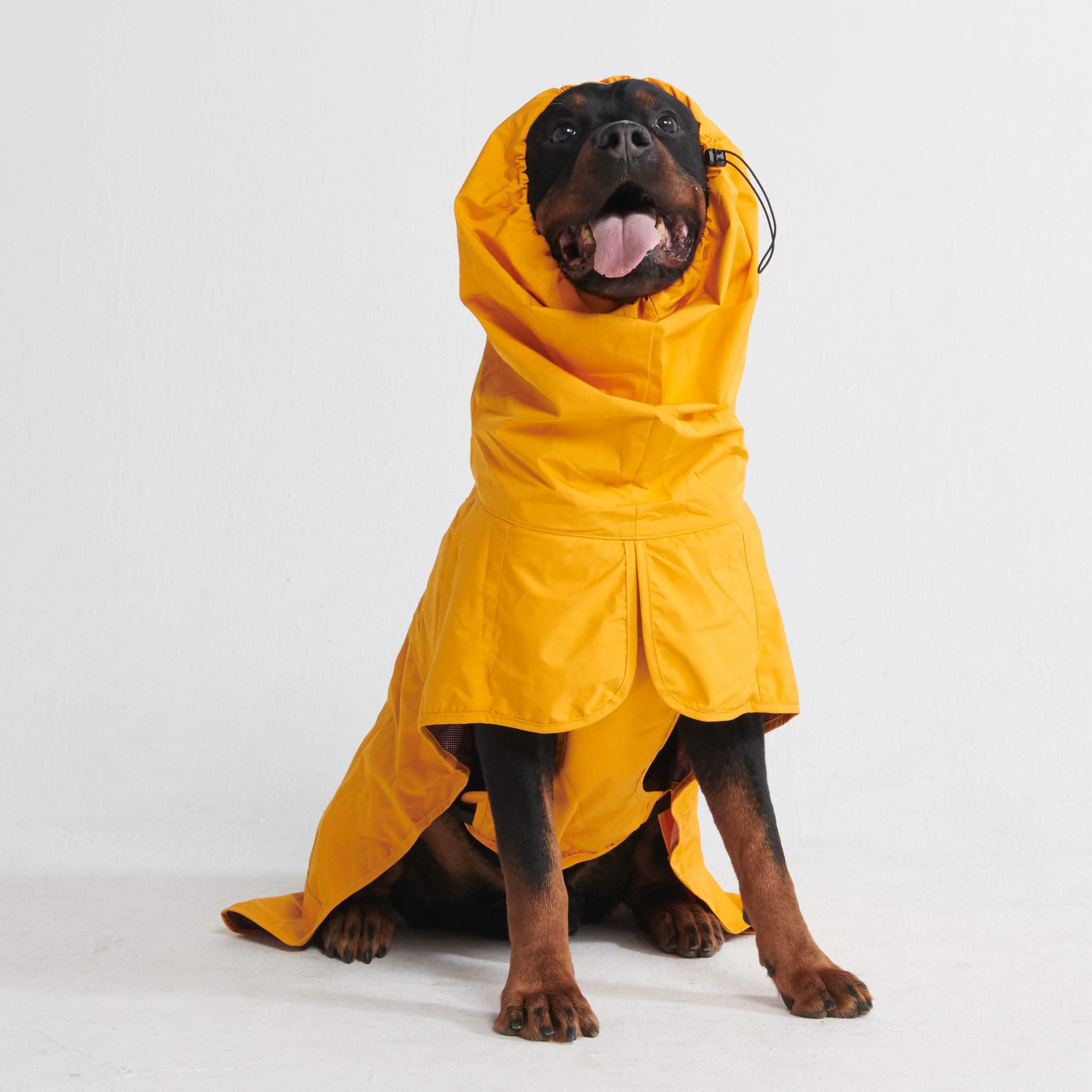 Breatheshield™ Dog Raincoat - Mustard Yellow – SPARK PAWS
