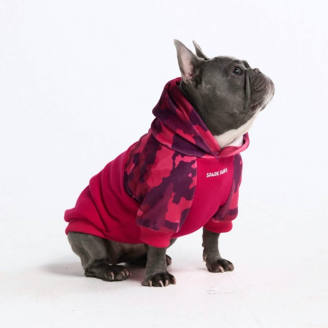 Camo Dog Hoodies – SPARK PAWS