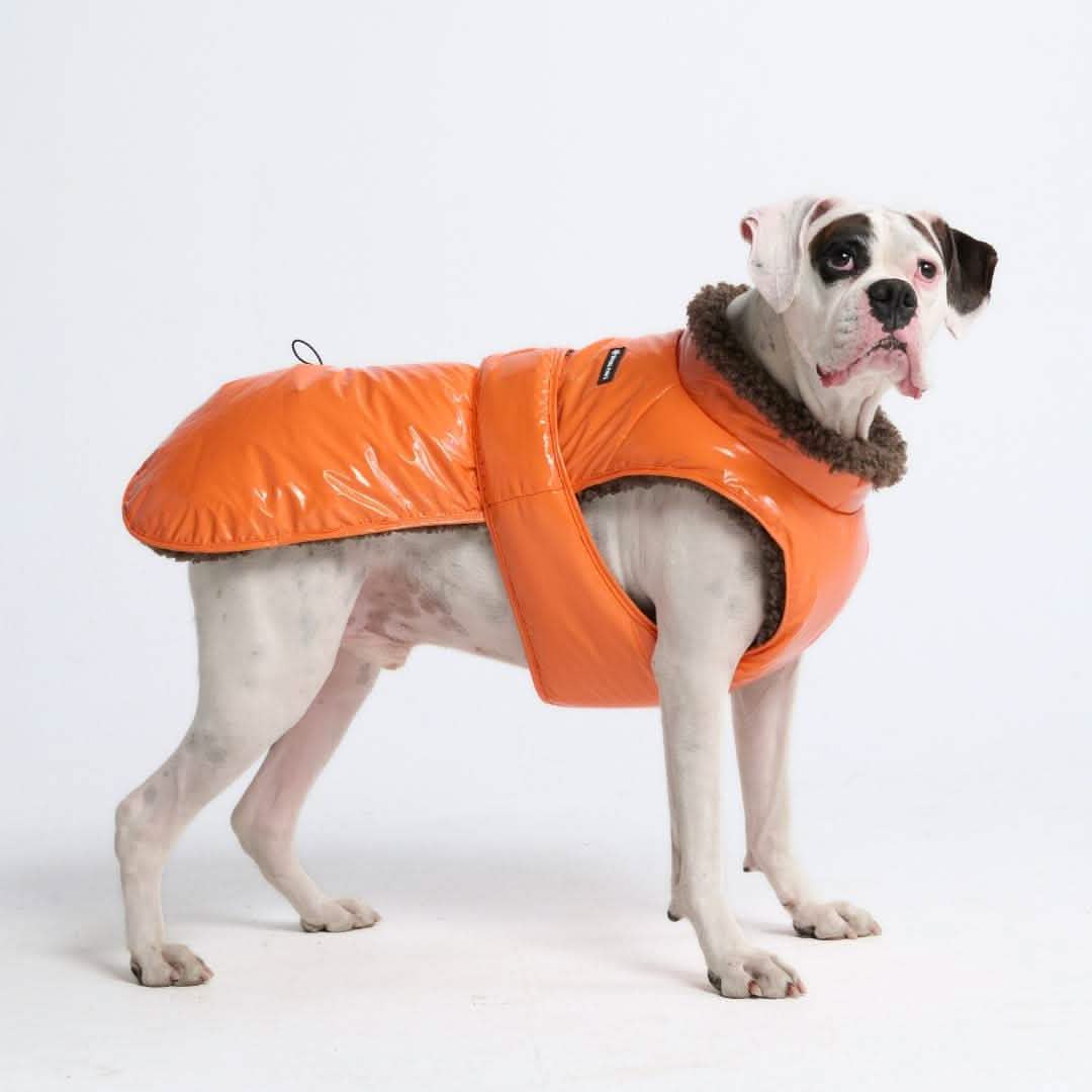 Slip-on Insulated Jacket - Orange – SPARK PAWS