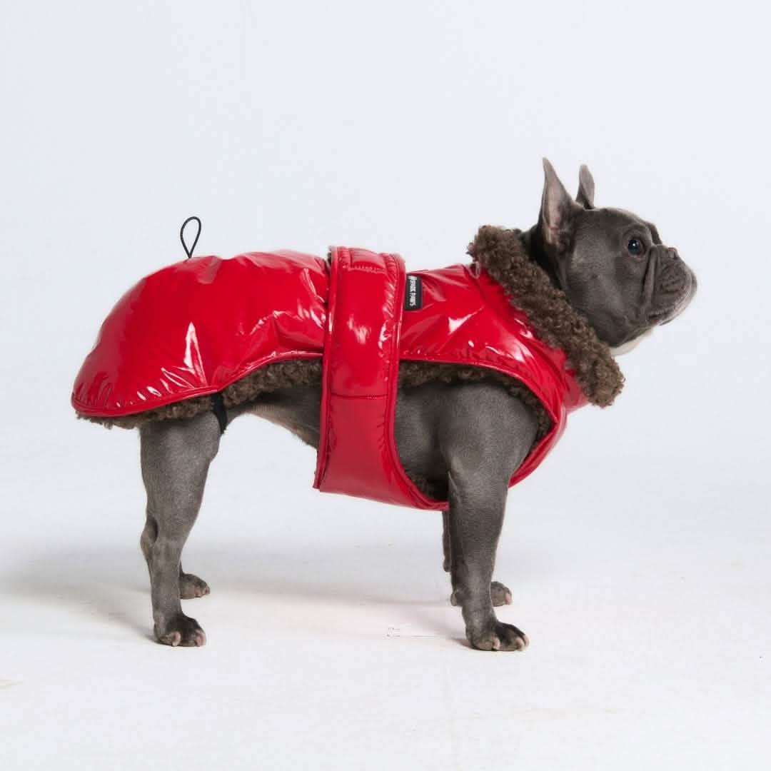 Slip-on Insulated Jacket - Red – SPARK PAWS