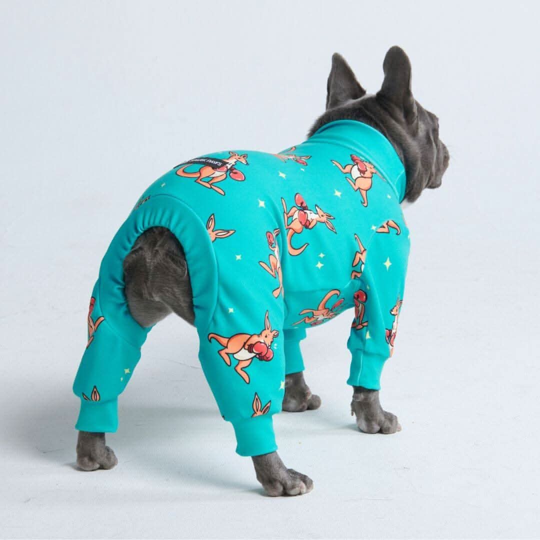 Dog Pajama Prints – SPARK PAWS