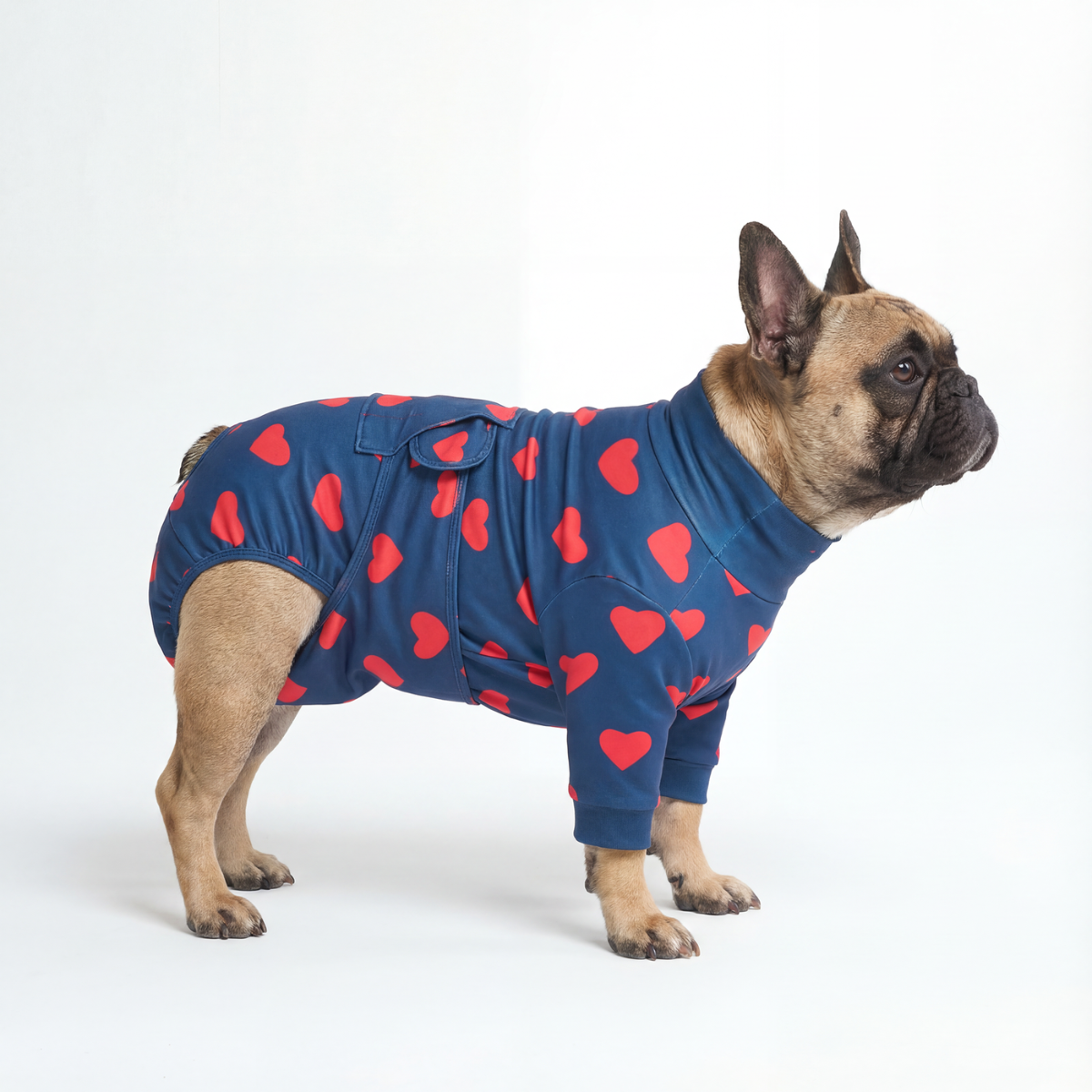 Dog Surgical Suit - Hearts – SPARK PAWS