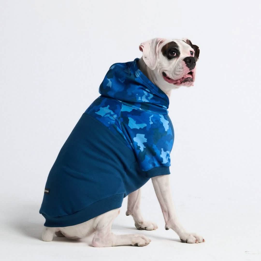 Blue Camo Dog Hoodie – SPARK PAWS
