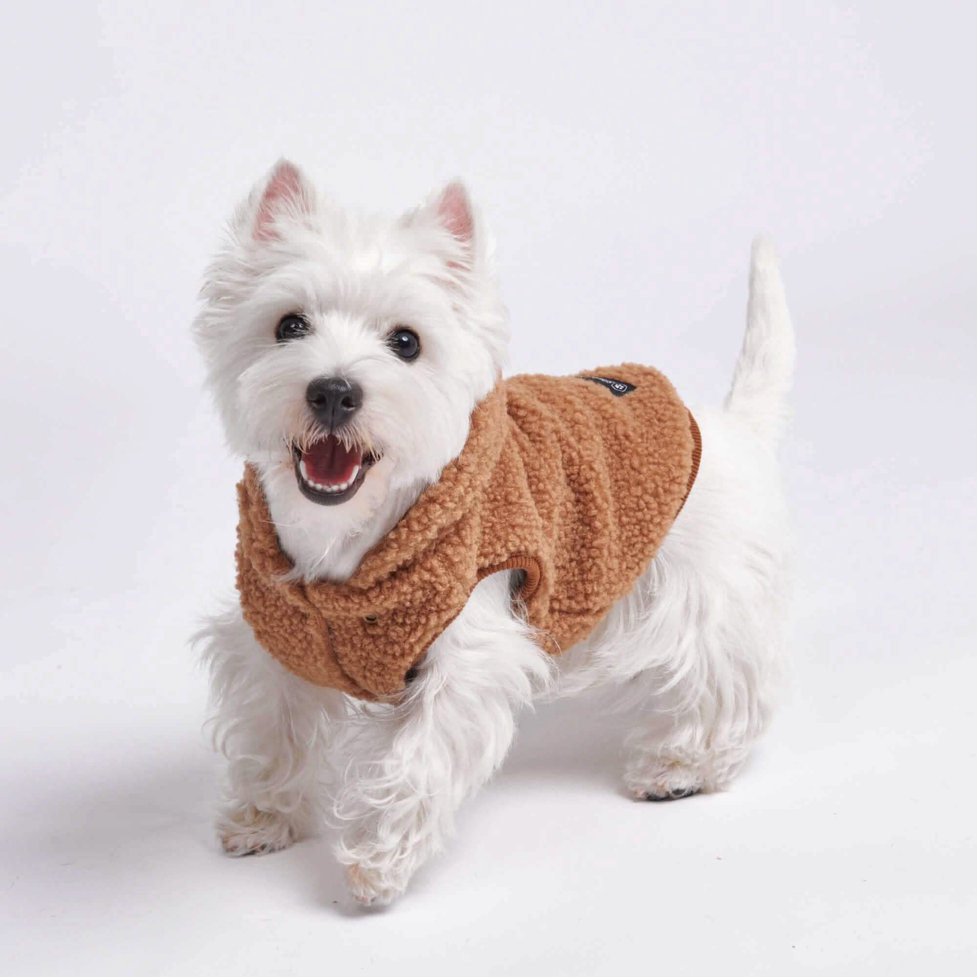 Teddy Sherpa Dog Jackets – SPARK PAWS