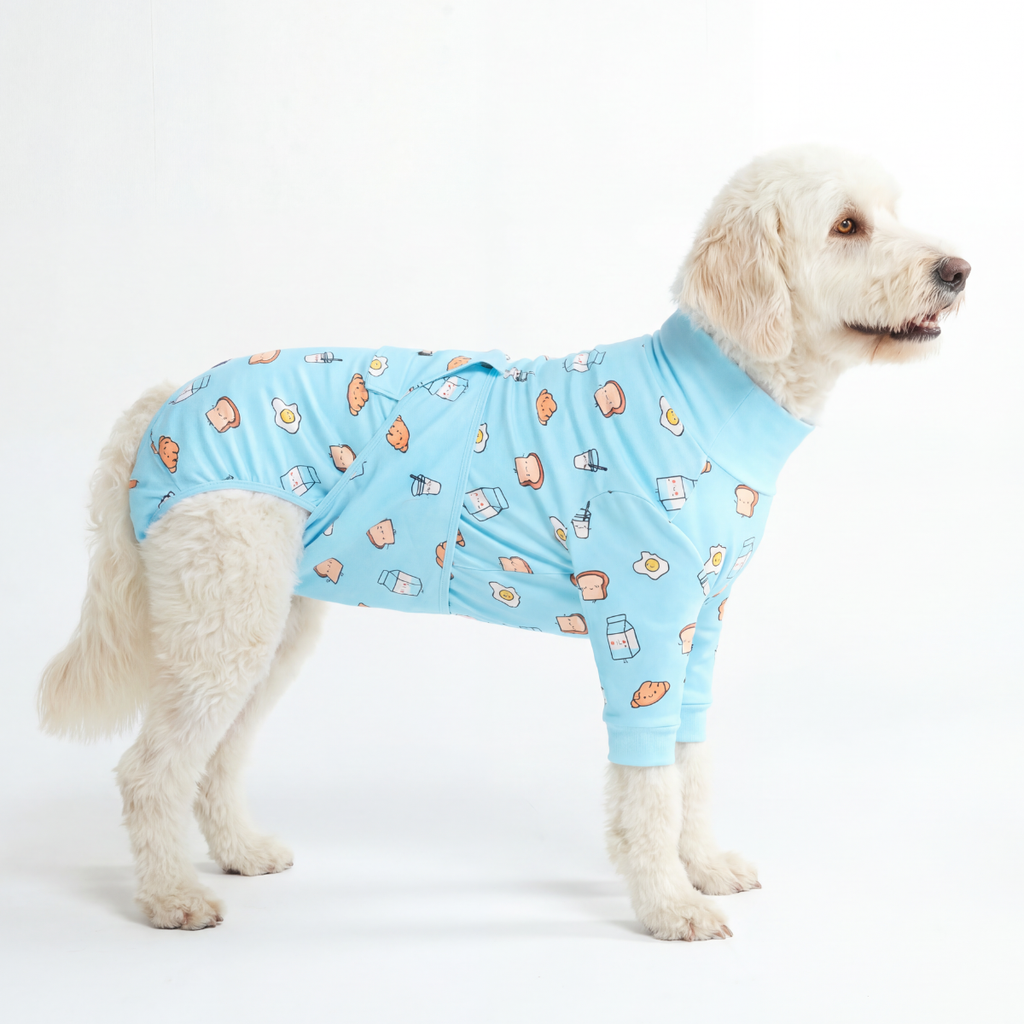 Dog Surgical Suit – SPARK PAWS