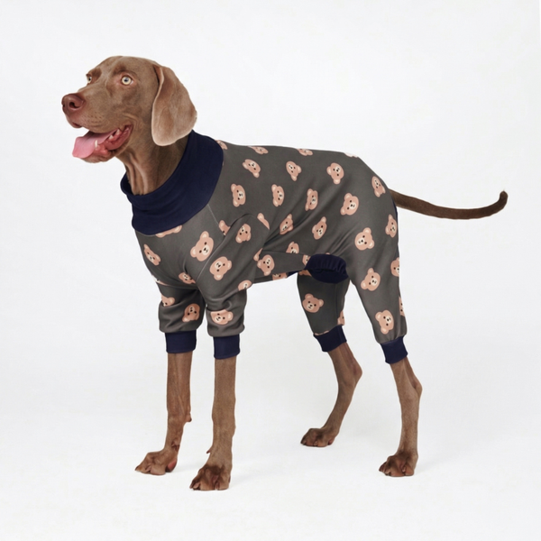 Dog Pajamas & Surgical Suits – SPARK PAWS