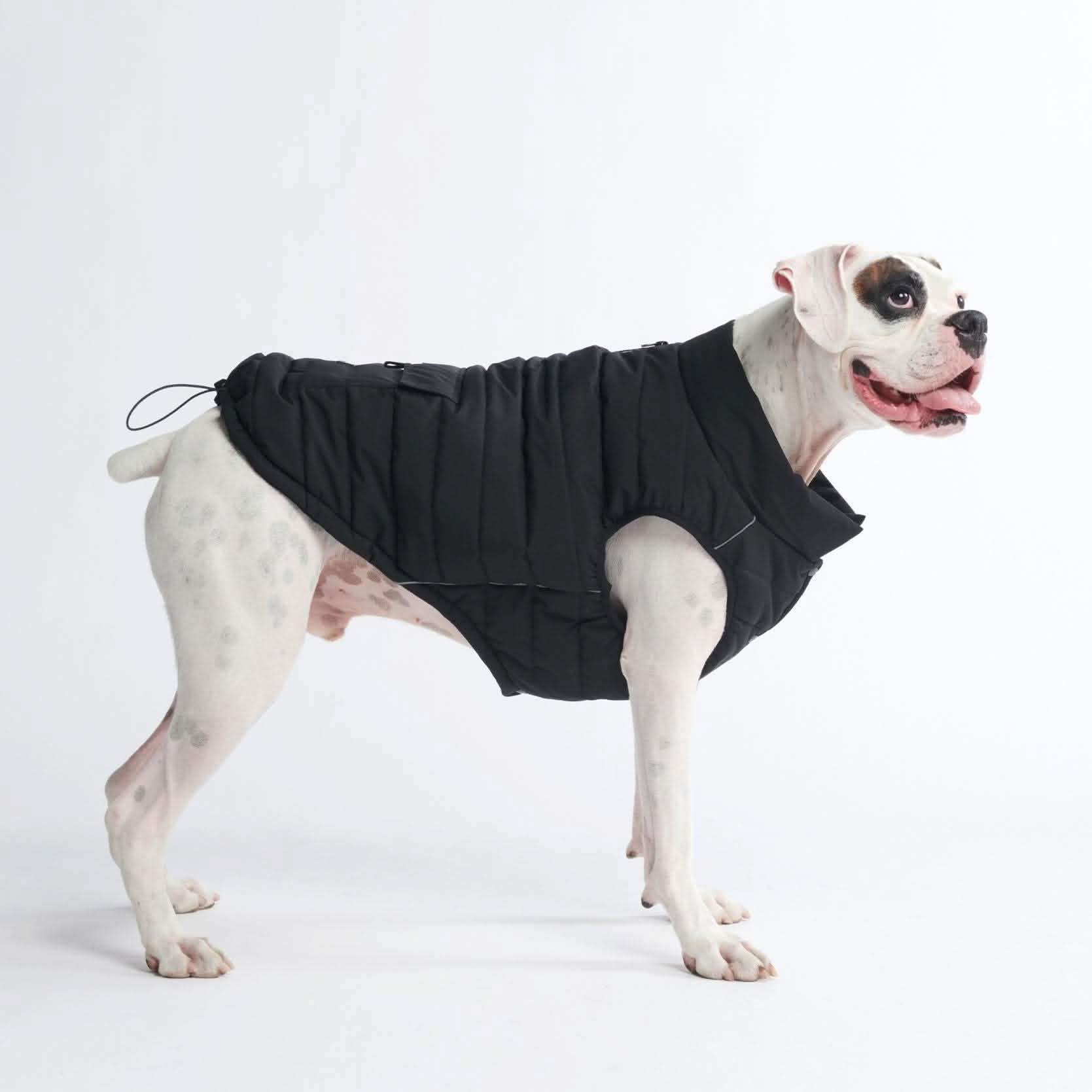 WarmShield Water-Resistant Jacket - Black – SPARK PAWS