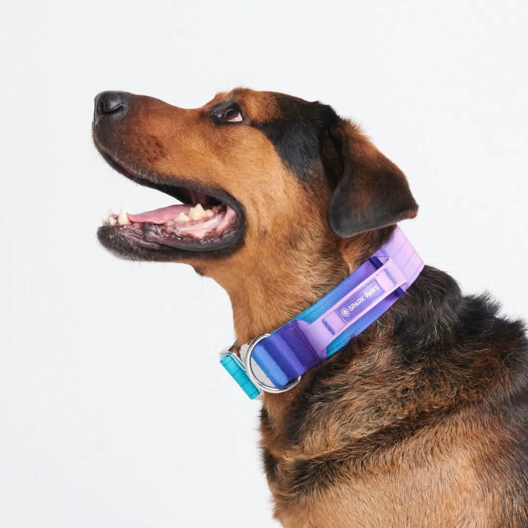 Comfort Control Collar - 90s Retro – SPARK PAWS