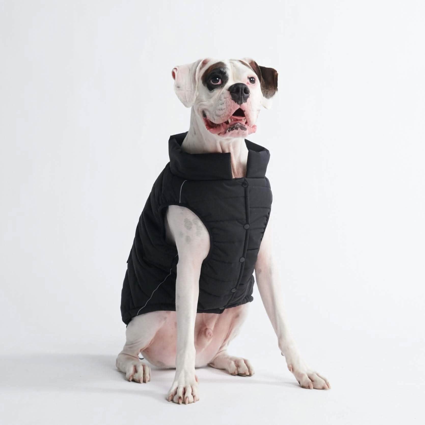 WarmShield Water-Resistant Jacket - Black – SPARK PAWS