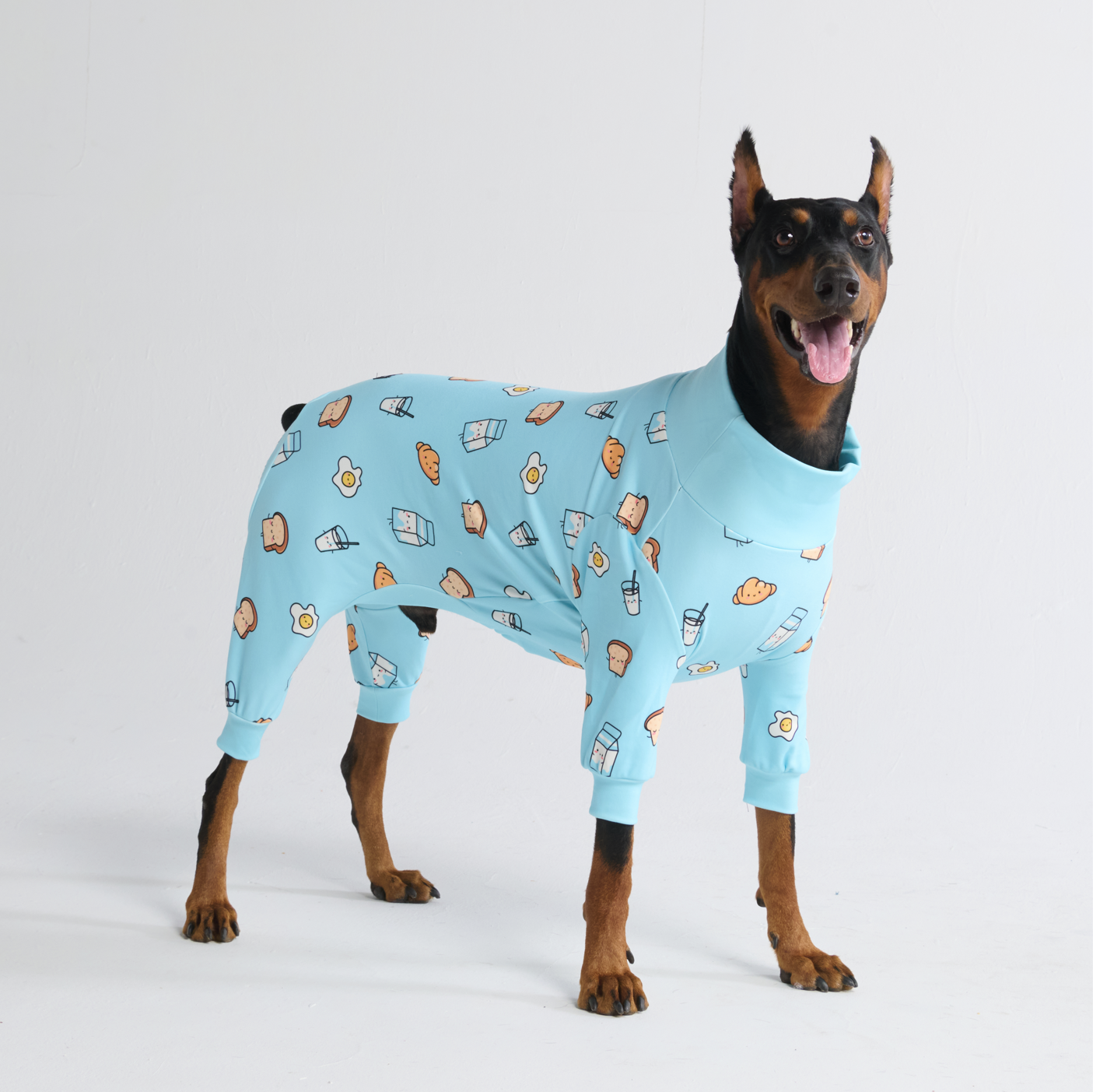 Dog Pajama Prints – SPARK PAWS