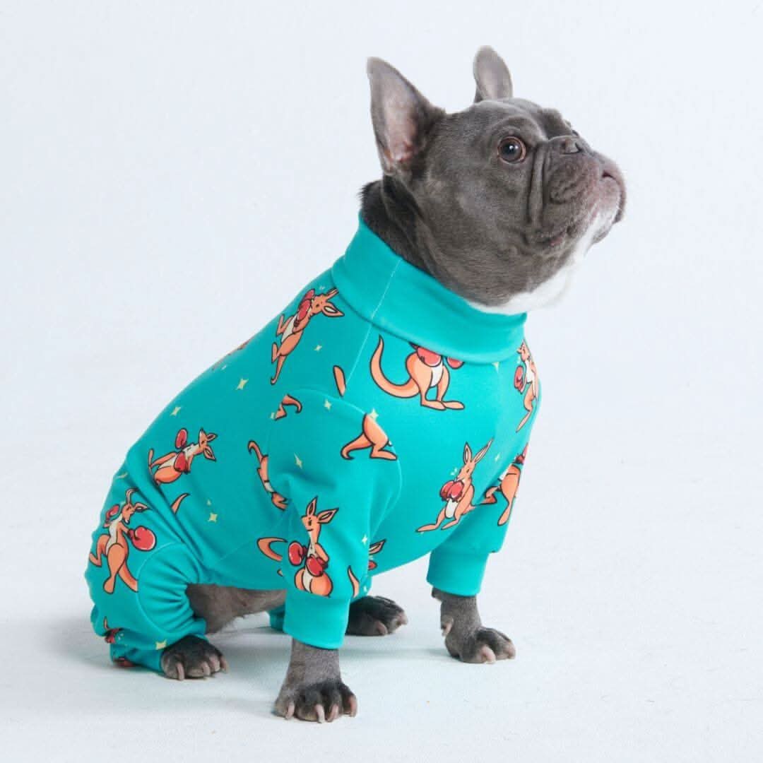 Dog Pajama Prints – SPARK PAWS
