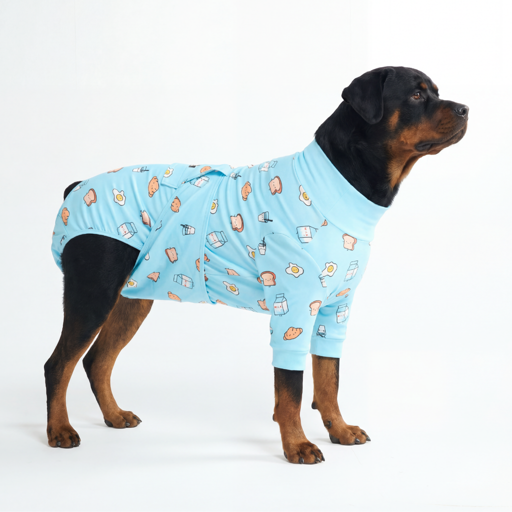 Dog Surgical Suit – SPARK PAWS