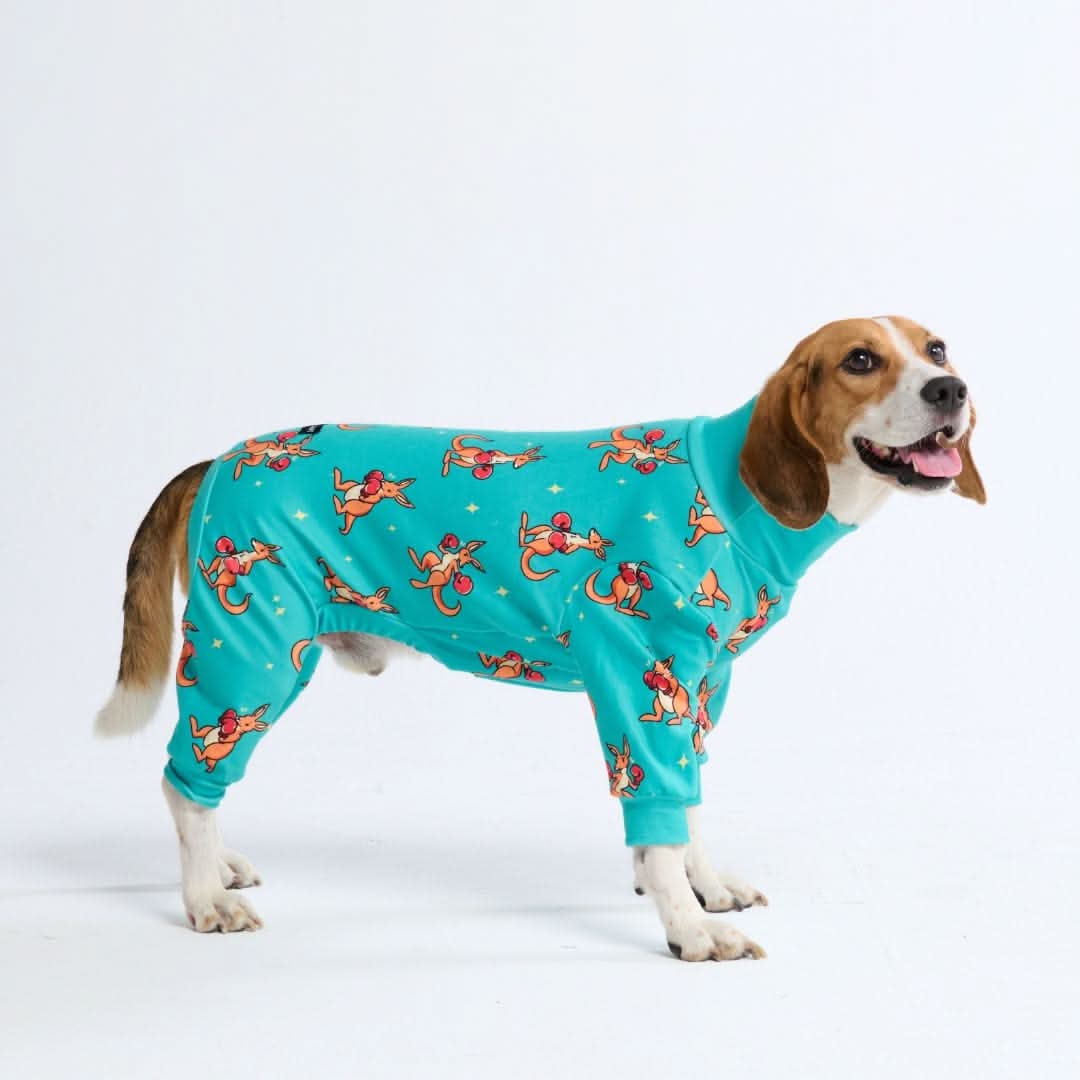 Dog Pajama Prints – SPARK PAWS