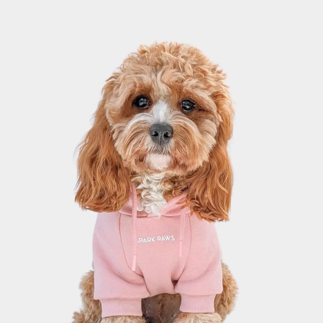 Essential Dog Hoodies – SPARK PAWS