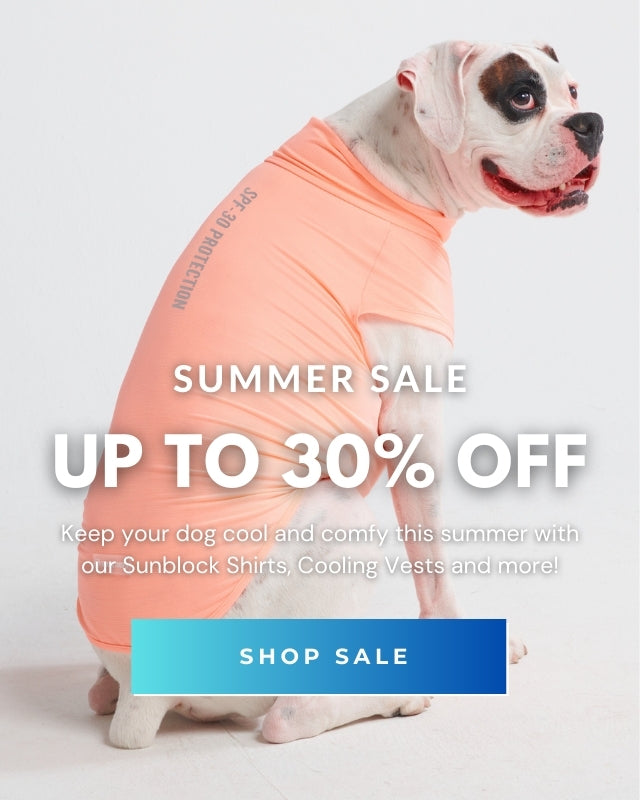 Spark Paws - Premium Dog Clothing, Walk Gear, Shoes and More! – SPARK PAWS