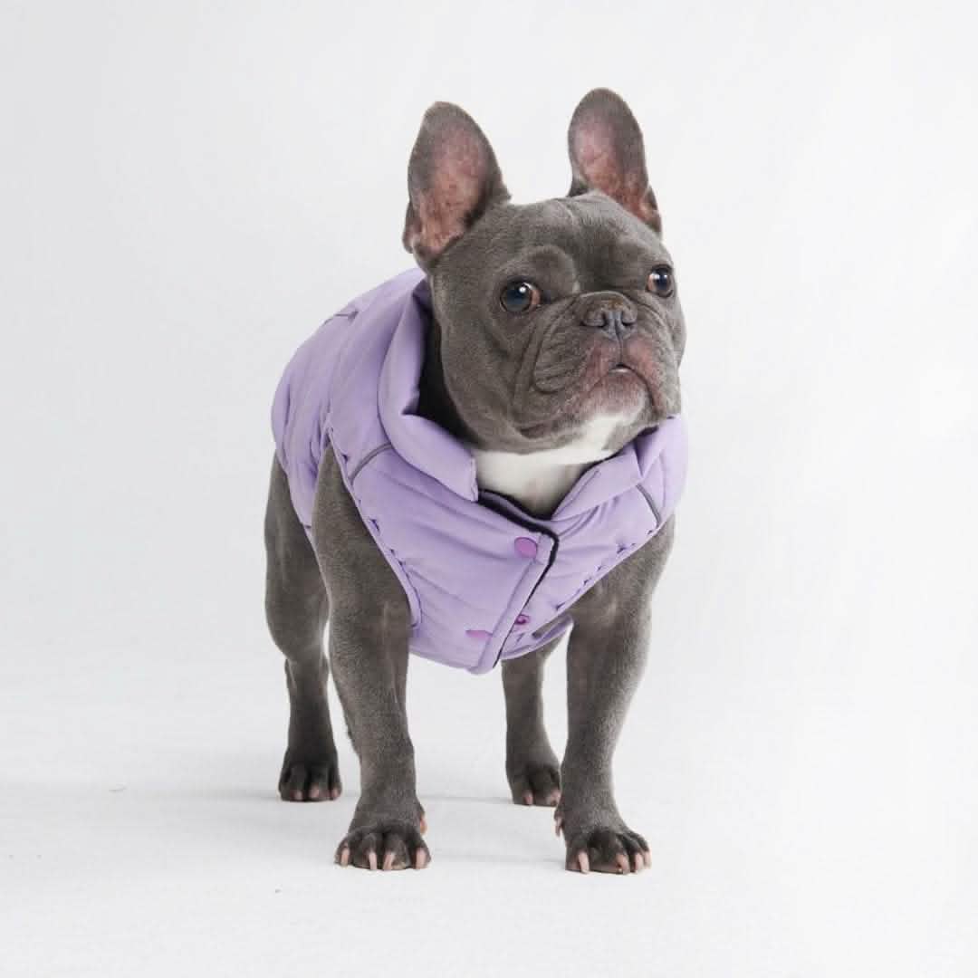 WarmShield Water-Resistant Jacket - Lilac – SPARK PAWS