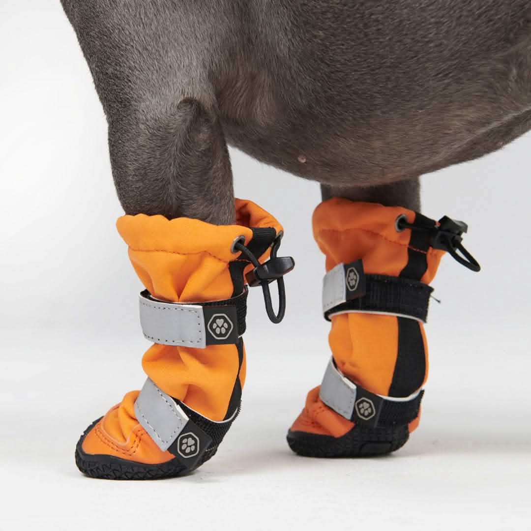 Flex Shell Water-resistant Dog Boots – SPARK PAWS