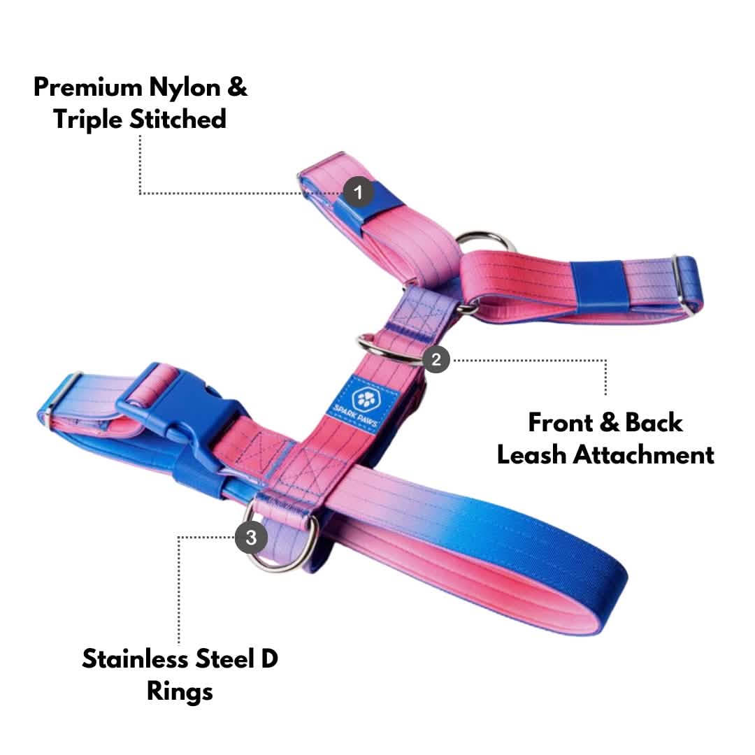 Comfort Control No-Pull Dog Harness Set - Snow Cone – SPARK PAWS