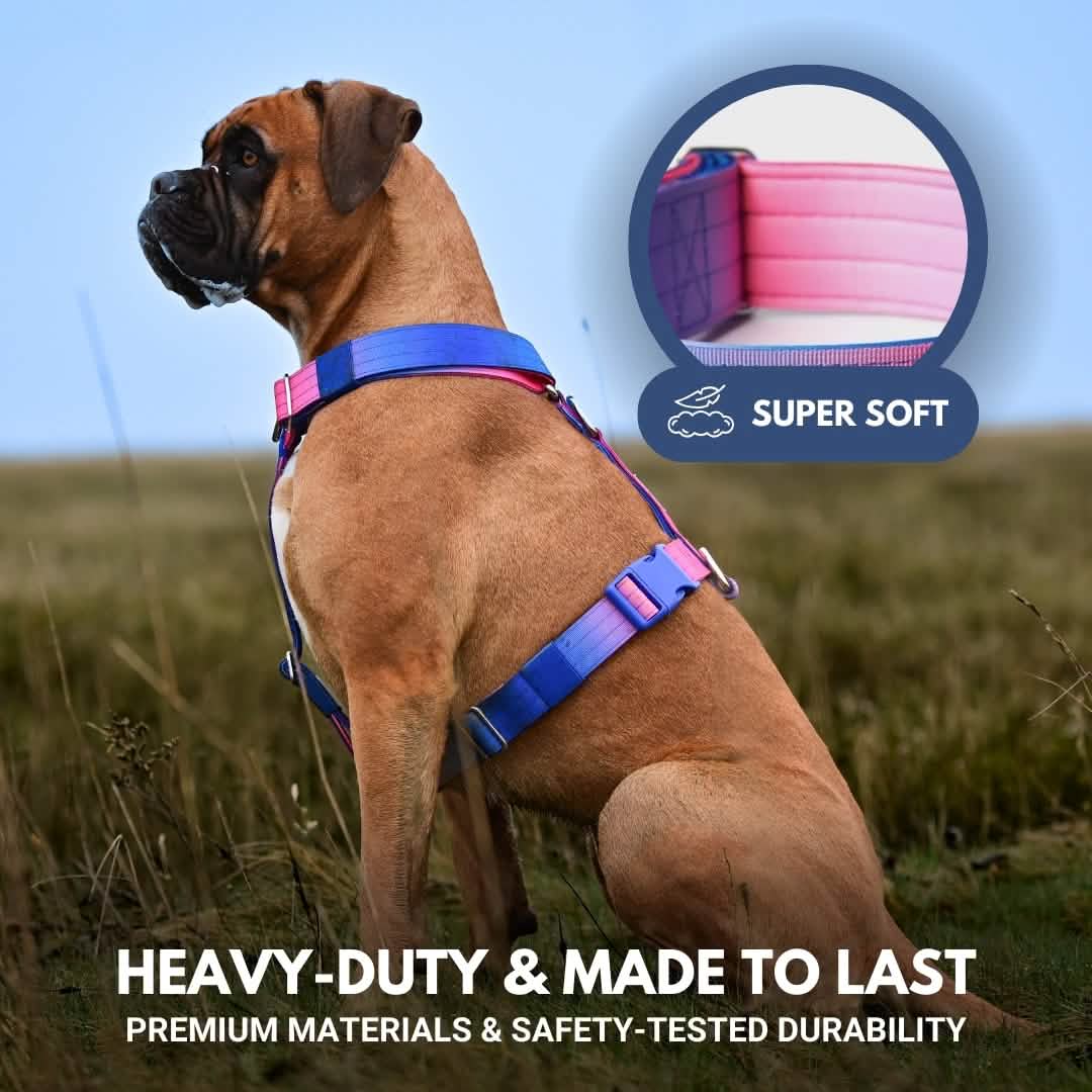 Comfort Control No-Pull Dog Harness Set - Snow Cone – SPARK PAWS
