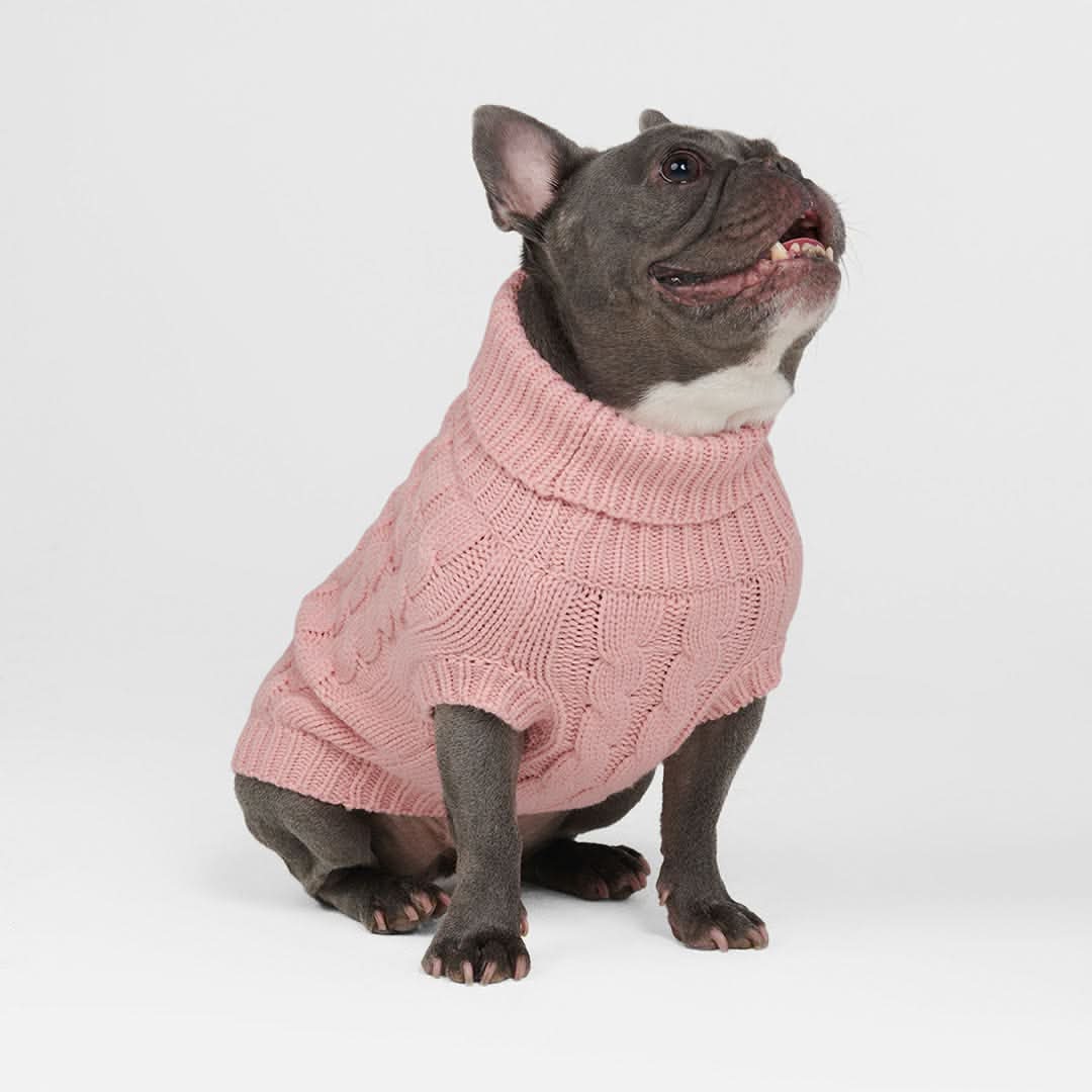 Cable Knit Dog Sweater - Pink – SPARK PAWS
