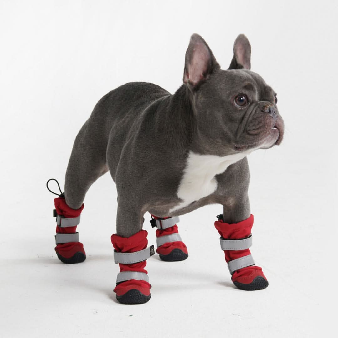 Flex Shell Water-resistant Dog Boots - Red – SPARK PAWS