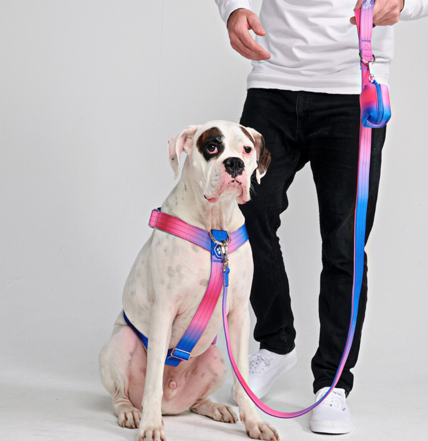 Comfort Control No-Pull Dog Harness Set - Snow Cone – SPARK PAWS