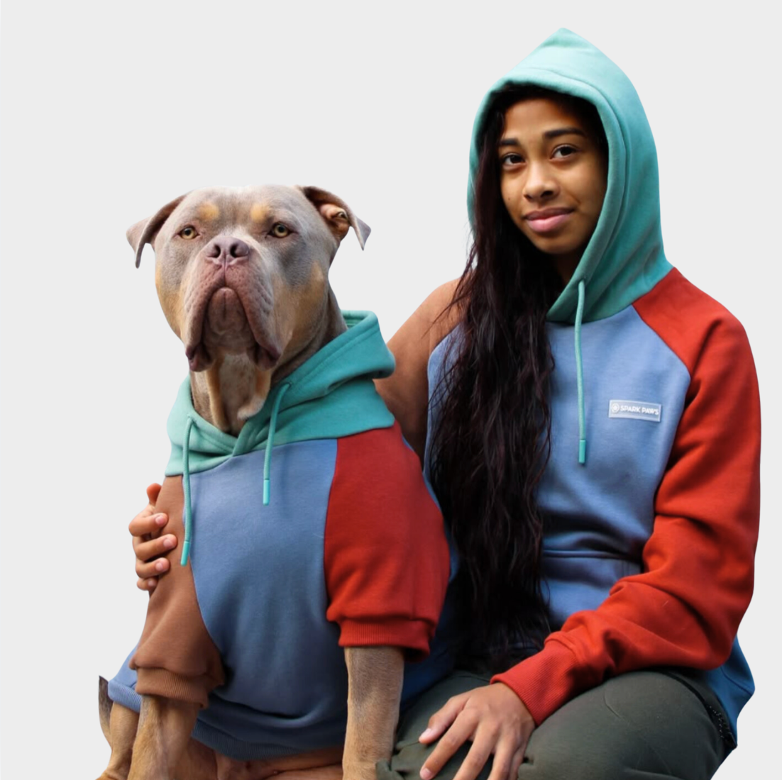 Alpine Human Hoodie – SPARK PAWS